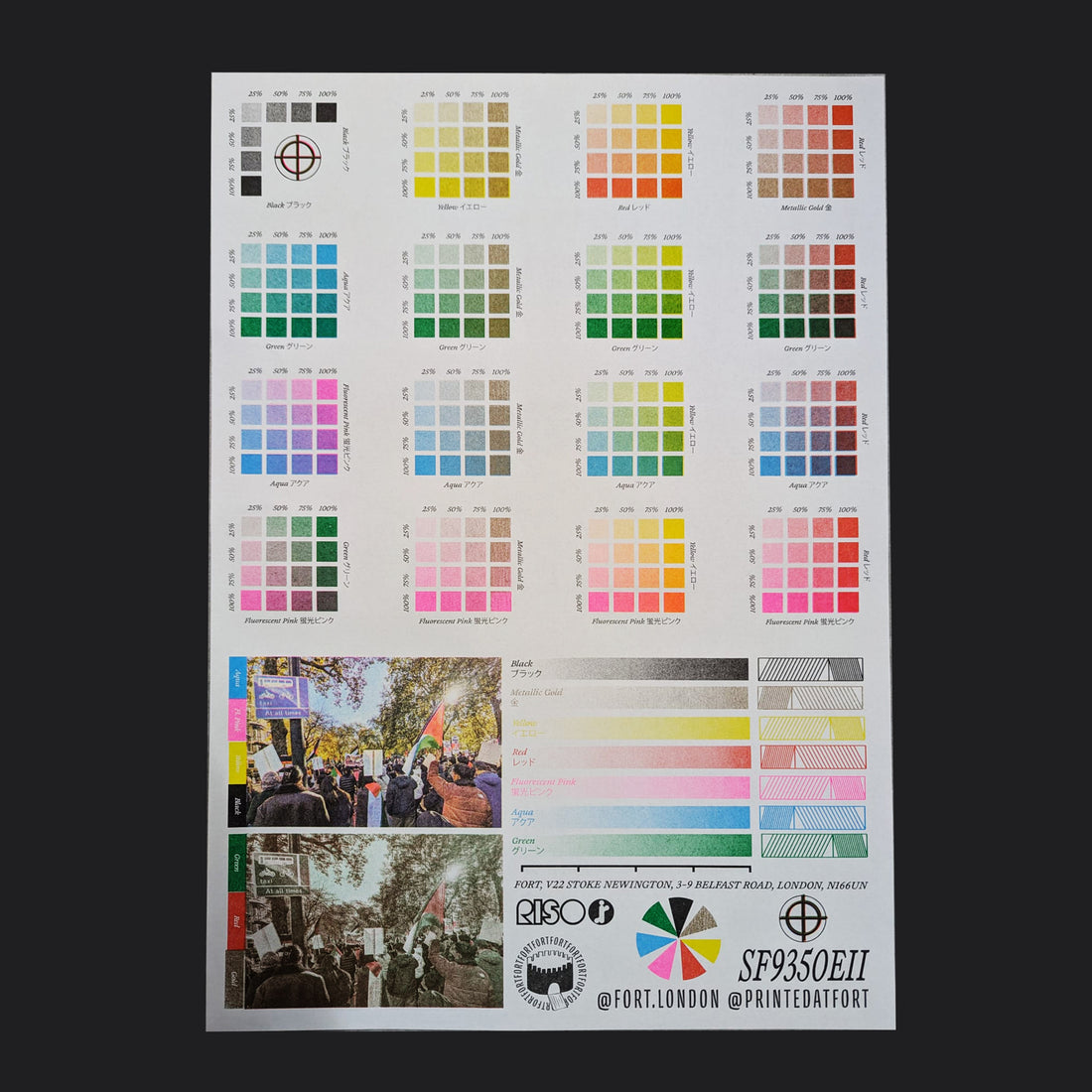 FORT RISO Colour Chart